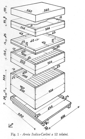 Arnia per Apicoltura - Come Scegliere e Prezzi